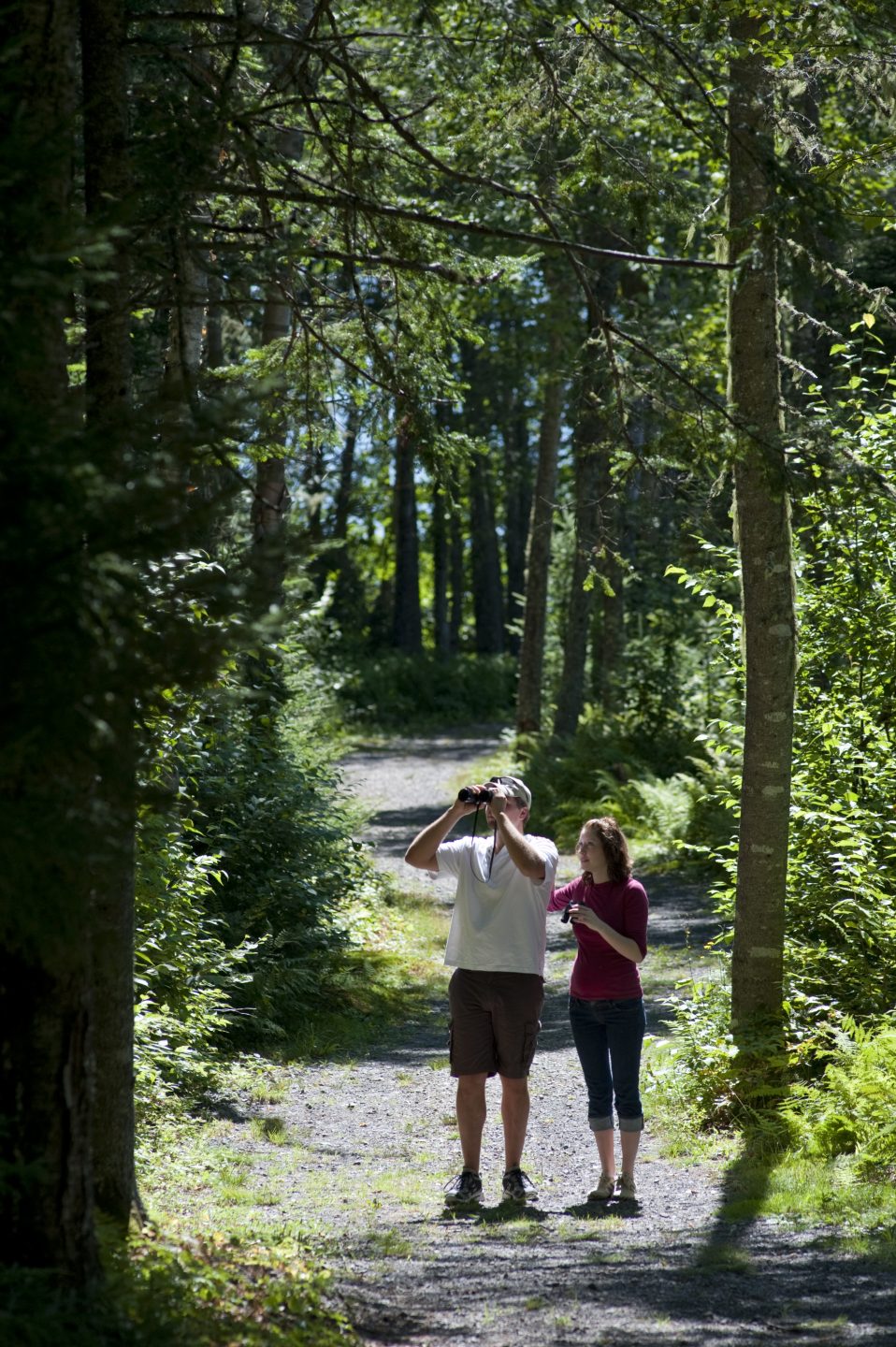 Sentier Transcanadien | Cinq tronçons du Grand Sentier à ne pas manquer ...