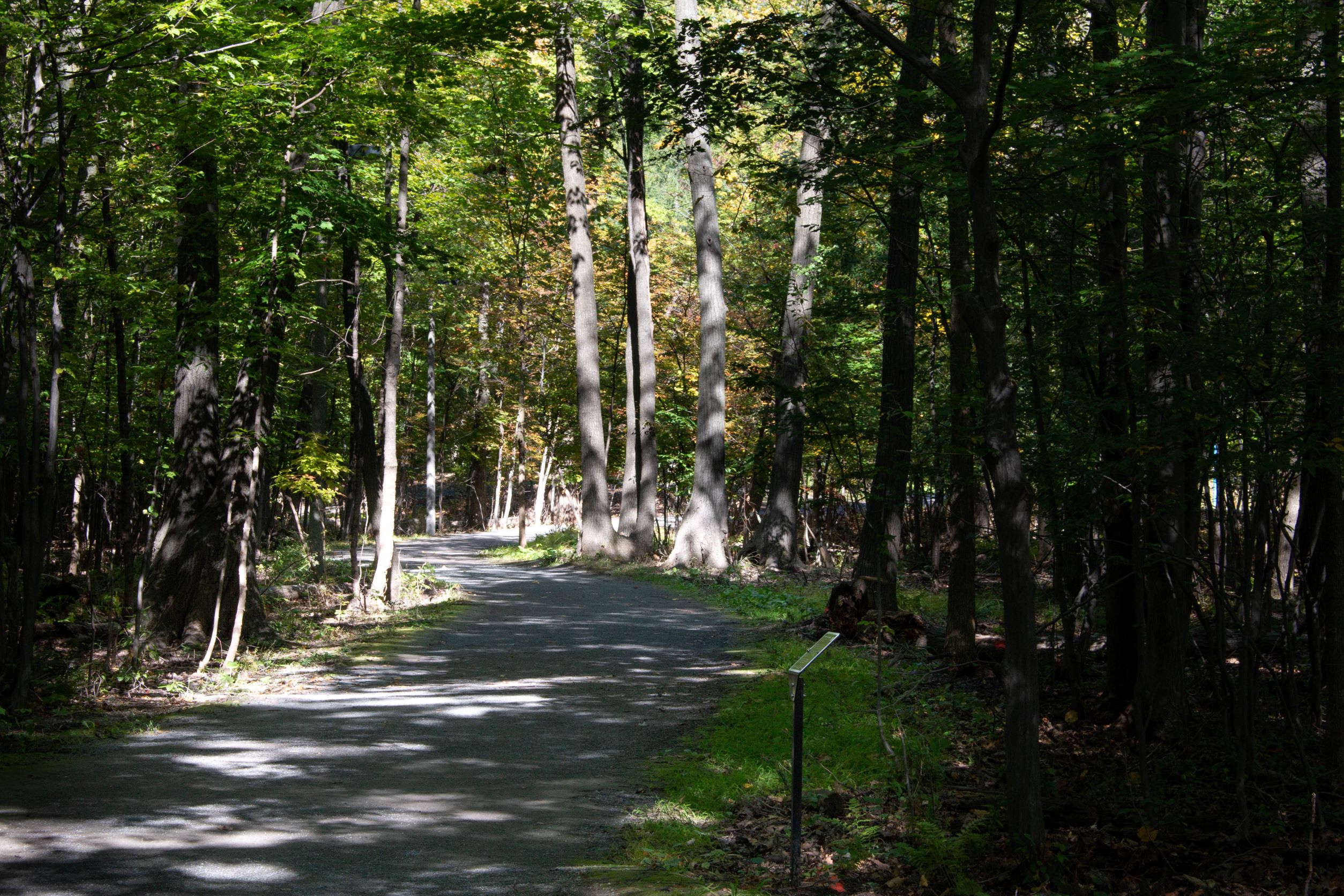 Sentier Transcanadien | Profil de sentier : ville de Longueuil
